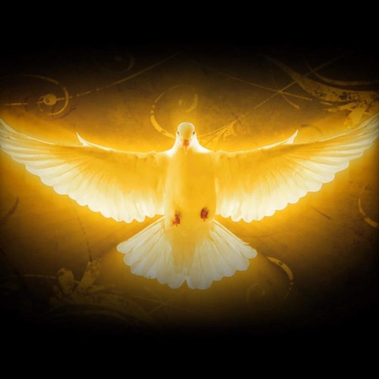 Voice of the Holy Spirit - Vcatholic